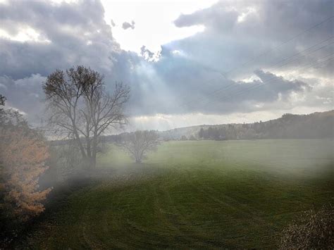 Premium Photo Trees On Field Against Sky