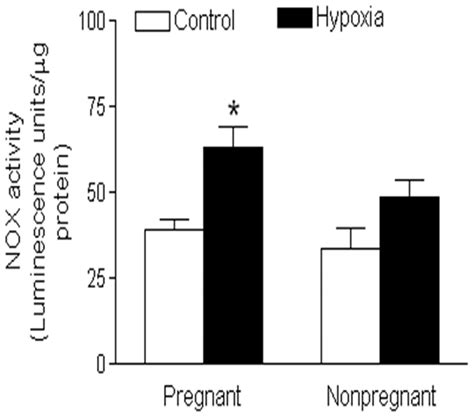 Effect Of Chronic Hypoxia On Nox Activity In Uterine Arteries Uterine Download Scientific