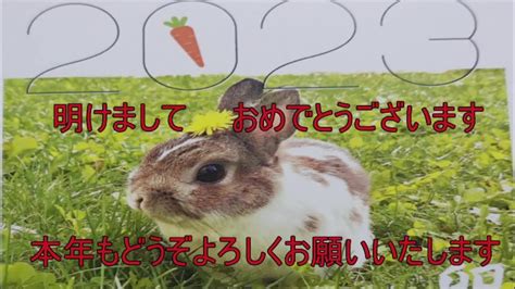 止まない雨チョンテフさんカバーるみ子 YouTube