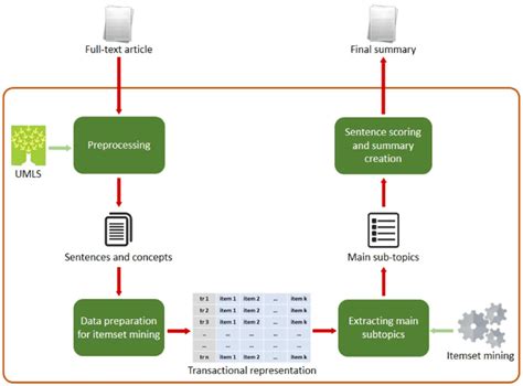 The Architecture Of The Itemset Based Biomedical Text Summarizer