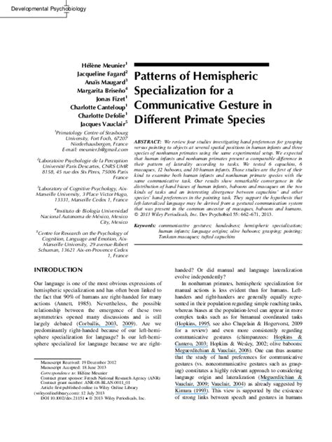 Pdf Patterns Of Hemispheric Specialization For A Communicative Gesture In Different Primate