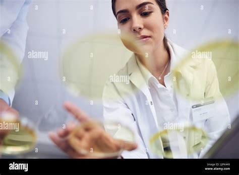 Science Is All About Careful Observation Low Angle Shot Of Two Scientists Conducting An
