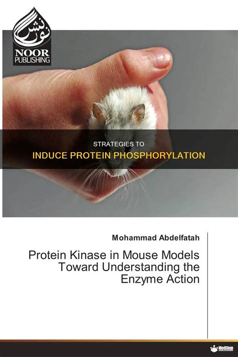 Strategies To Induce Protein Phosphorylation Medshun