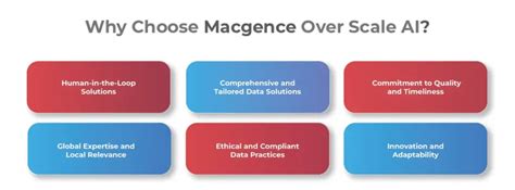 Scale Ai Alternatives Trends And Innovations For 2024 Macgence Macgence