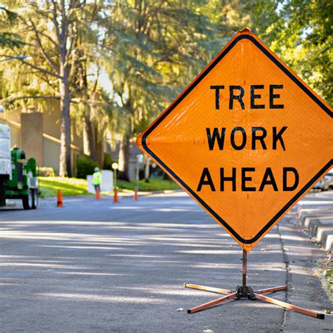 Tree Services Carson Landscape Industries