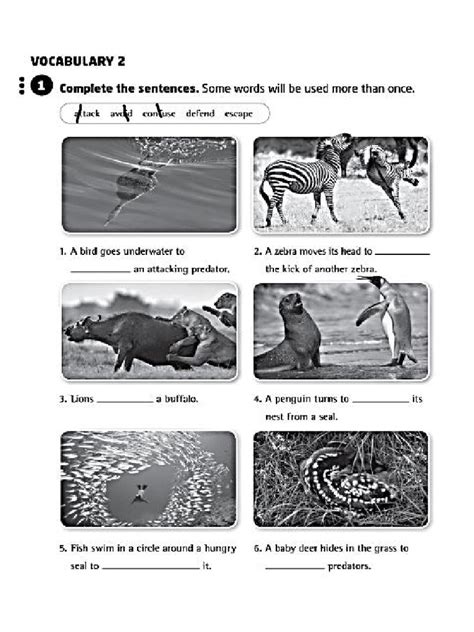 Vocabulary 2 Unit 2 Workbook 1 2 Pdf