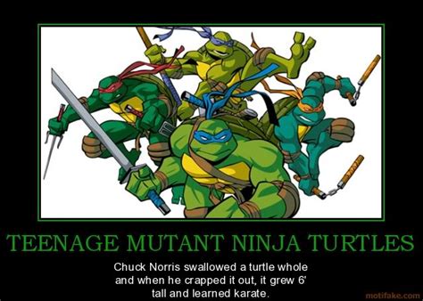 Ninja Turtle Quotes Quotesgram
