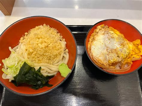 Hiyashi Tanuki Udon And Mini Katsudon R Japanesefood