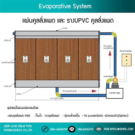 โรงเรือนอีแวป พัดลม50นิ้ว พัดลมฟาร์มไก่