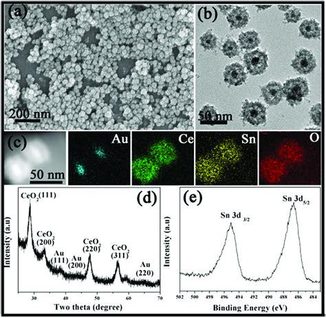 a sem image b tem image c stem edx elemental maps and d xrd