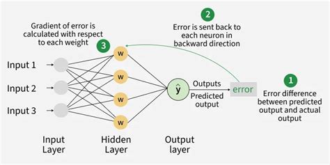 Weights And Bias In Neural Networks Geeksforgeeks