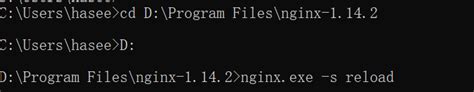 windows操作nginx重启、启动、停止、查看版本命令 windows server 2008查看nigx版本 csdn博客
