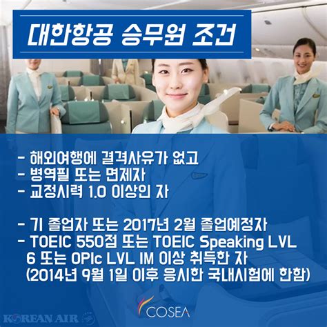 대한항공 승무원이 꿈이라면 꼭 정독 대한항공의 개요 승무원 스튜어디스 항공운항과 입시