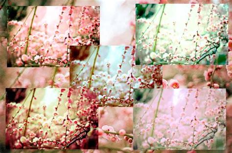 Gimp Curves By XBeautifulLiar On DeviantART Gimp Photo Editing Gimp Tutorial Photoshop