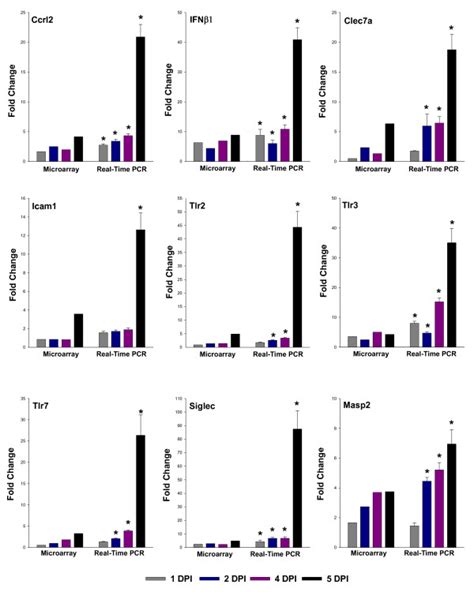 validation of microarray data of selected genes by qreal time rt pcr