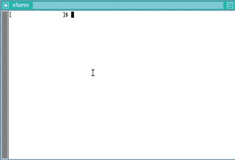 Linux How Do You Kill A Xterm Instance In Tiny Window Manager Using