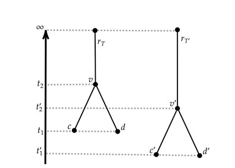 A Graphical Representation Of The Truncation Operator Download