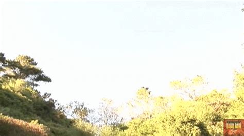 Big Black Cock Is Giving A Hard Fuck Watch Exclusive College Lesbian