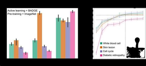 The Annotation And Resource Efficient Combination Badge Imagenet