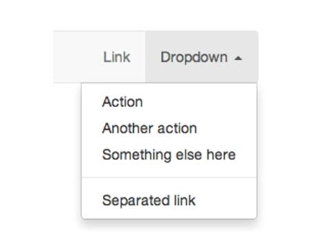 Bootstrap Dropdown Examples