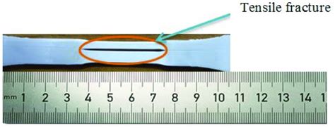 Tensile Tested Specimen Download Scientific Diagram