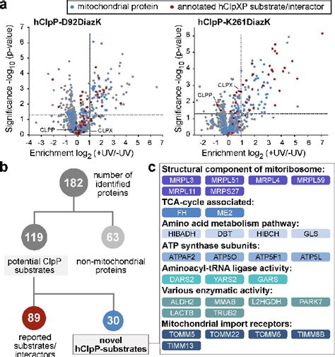 Proteomic Analysis Of Photocrosslinking Experiments A Graphical Download Scientific Diagram