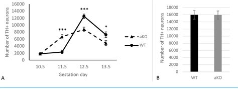Figure 1 From Genetic Inactivation Of Alpha Synuclein Affects Embryonic Development Of