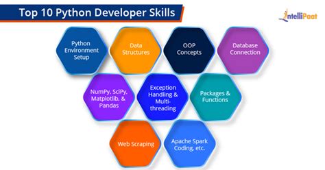 Top 10 Python Developer Skills 2025 Updated Intellipaat Blog