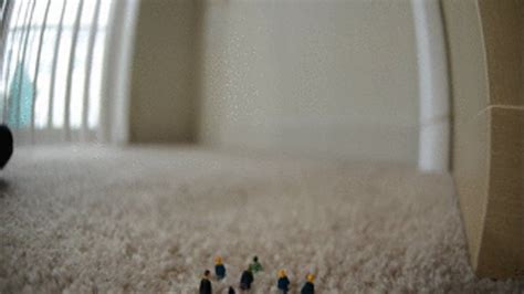 Montanas Unaware Flea People Extermination Mov Amateur Soles