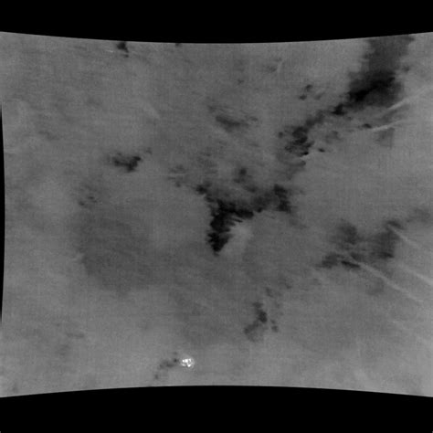 Bambiclass Object Detection Dataset By Bambi