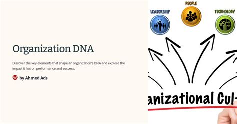 Organization DNA