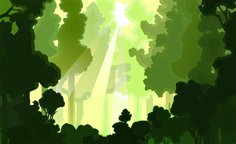 포리스트 배경 벡터입니다 녹색 색상의 풍경 그림입니다 나무의 실루엣 햇빛 밝은 하늘 태양 광선 섬세 한 봄 여름 단 풍 잎 낙엽 식물의 조밀 한 덤불 나무에 대한 스톡 벡터