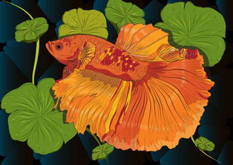 Half Underwater Stock Vectors Istock