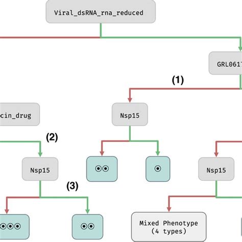 bdt of the reduced model representing the decisions in input variables