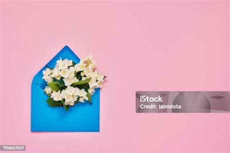 분홍색 파스텔 배경에 파란색 봉투에 필라델푸스 또는 모의 오렌지 꽃 생일 어머니의 날 독신 개념의 플랫 레이 복사 공간 상단 보기 0명에 대한 스톡 사진 및 기타 이미지