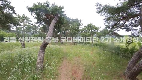 2020 경북 산림관광 홍보 코디네이터단 소개영상 YouTube