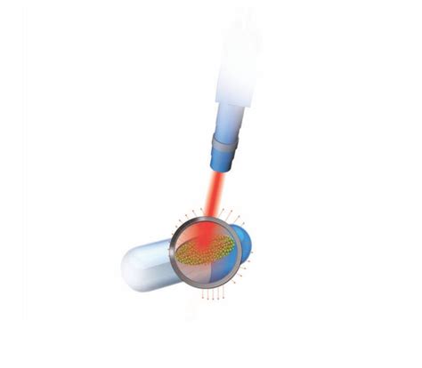 Transmission Raman Spectroscopy Review Of Applications Horiba