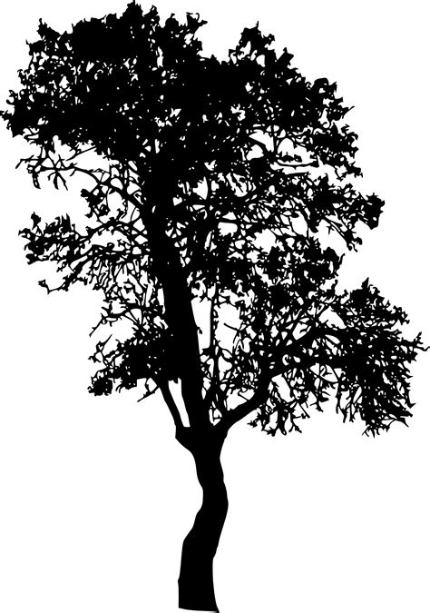 45 Tree Silhouettes Png Transparent Background Onlygfxcom