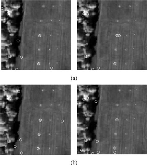 Endmember Pixels Extracted By N Findr With Mnf In Two Different Runs Download Scientific