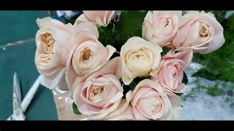 아이두 장미 생화 꽃집 꽃집창업 꽃값 온라인꽃시장 온라인꽃도매 인터넷꽃시장 인터넷꽃도매 서울꽃시장 꽃농장 꽃배송 생화배송 생화도매 생화택배 꽃배달 생화배달 생화주문 생화부케