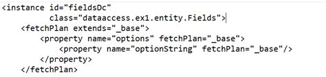 java declarative fetch plan support jmix