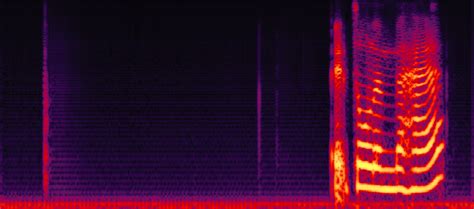 D²net A Denoising And Dereverberation Network Based On Two Branch Encoder And Dual Path Transformer