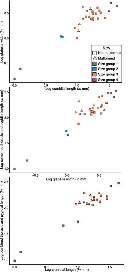 Natural Log Normalised Bivariate Plots Of Odontopleura Sinespinaspis
