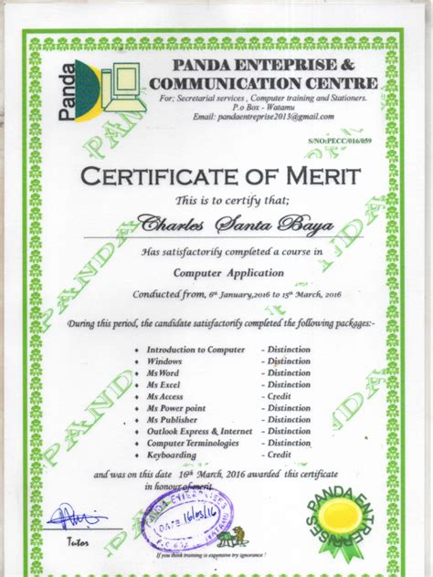 Computer Packages Pdf