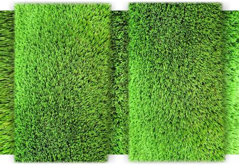 Page 46 Grass Cross Section Images Free Download On Freepik