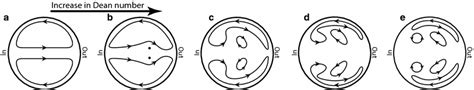 Schematics Of Secondary Flow Structures Under Steady Flow The Inner