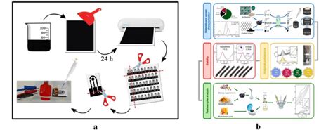 A Schematic Representation Of The Production Of Fe3o4 Nps Epads Download Scientific Diagram