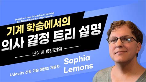 기계 학습에서의 의사 결정 트리 설명 단계별 튜토리얼 Youtube