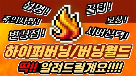 한자 하이퍼버닝 버닝월드 완벽 설명 및 꿀팁 그리고 핵심 하이퍼버닝 어디 서버에서 키울지 딱 정해드릴게요안되겠다 메이플스토리 Youtube