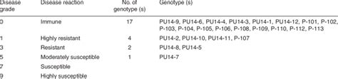 Grouping Of Urdbean Germplasms Based On Cercospora Leaf Spot Disease